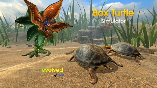 ดาวน์โหลดและเล่น Box Turtle Simulator บน PC ด้วย NoxPlayer